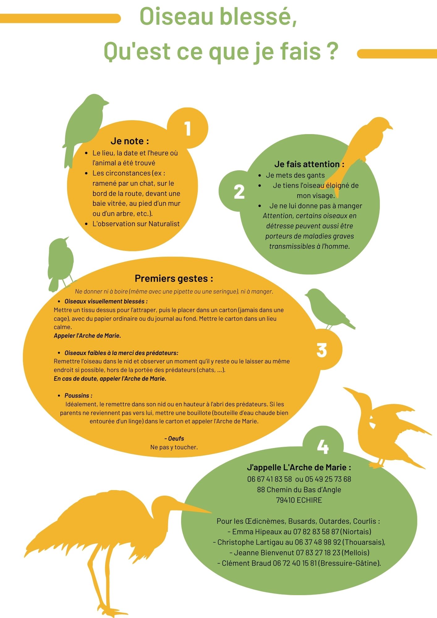 Secourir - Groupe Ornithologique des Deux-Sèvres